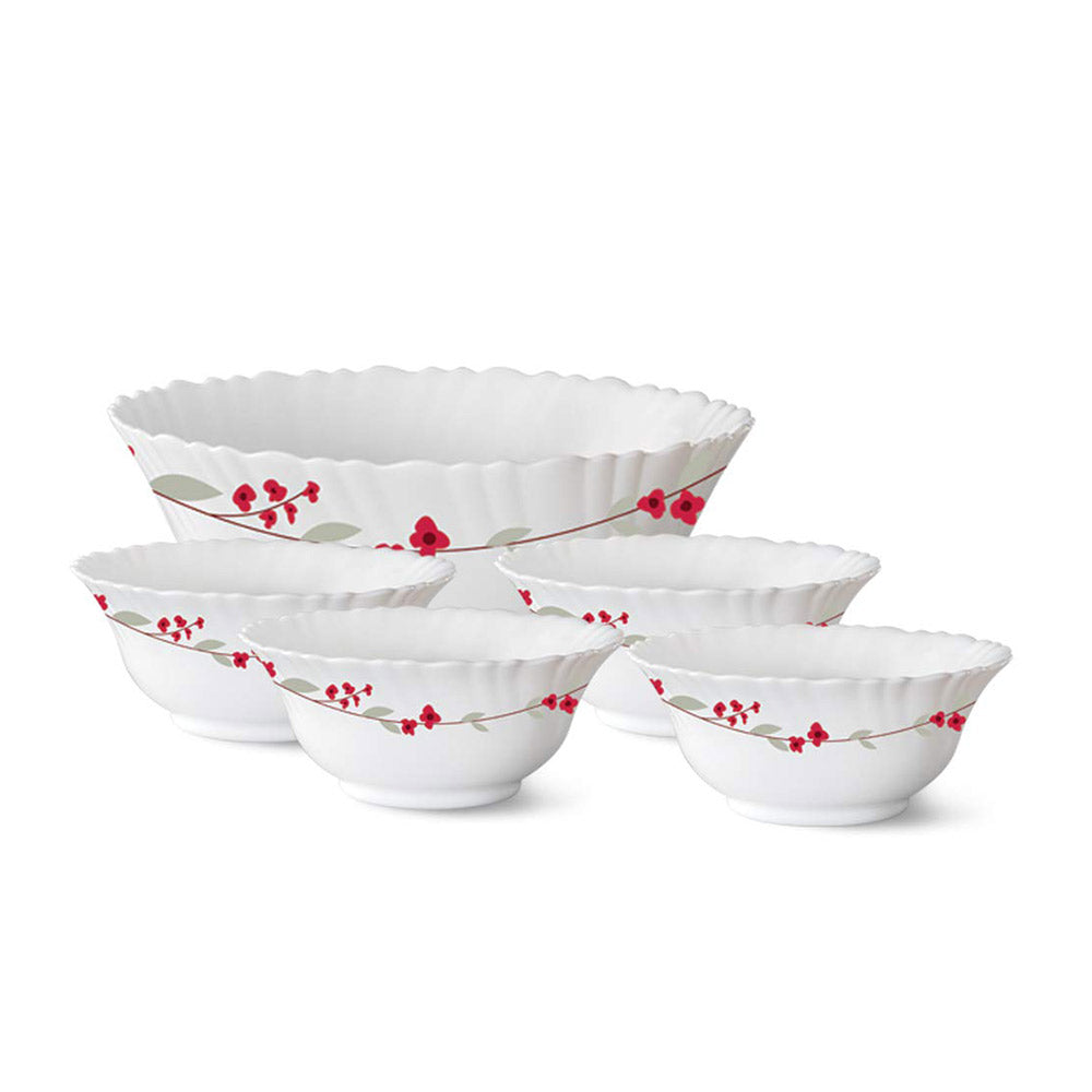 Borosil Larah Pudding Set 5 Pcs White – apnidukaan.com